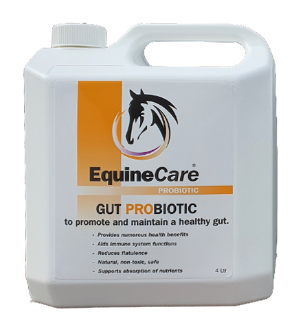 EquineCare Gut Probiotic – 4L Refill + FREE 1L Dual-Chamber Bottle ...